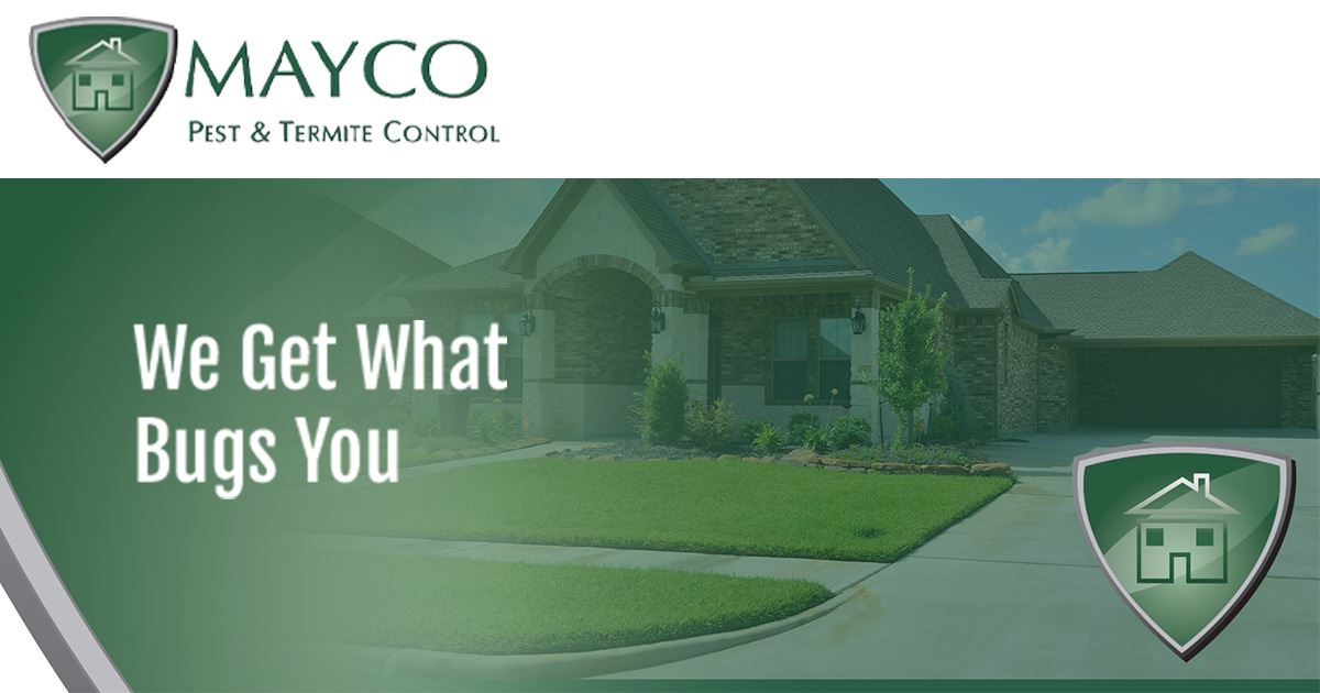 Pest Control in Denton, TX | Mayco Pest & Termite Control